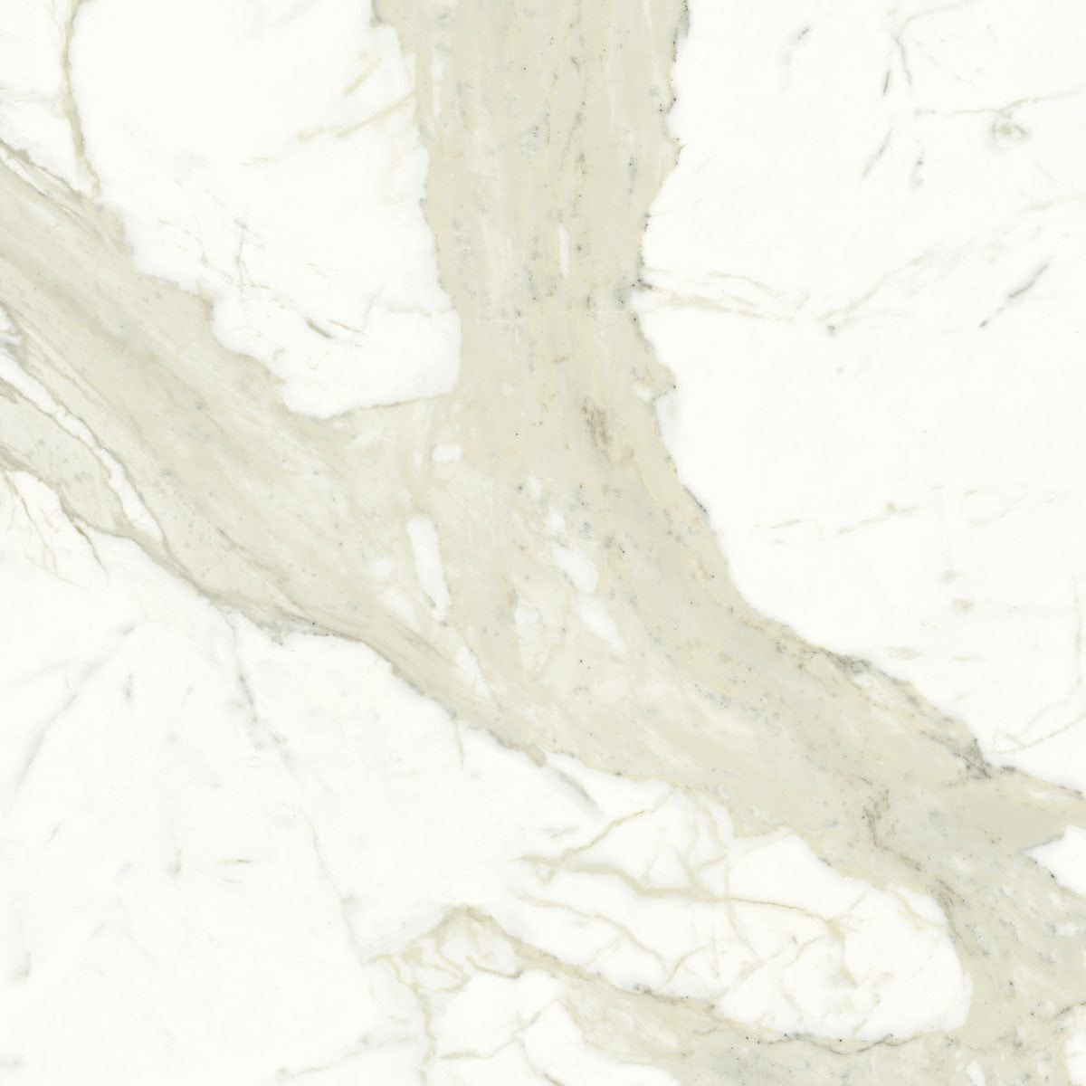 White 600 x 1200 mm Marble effect porcelain tile | FMG Select Calacatta ...