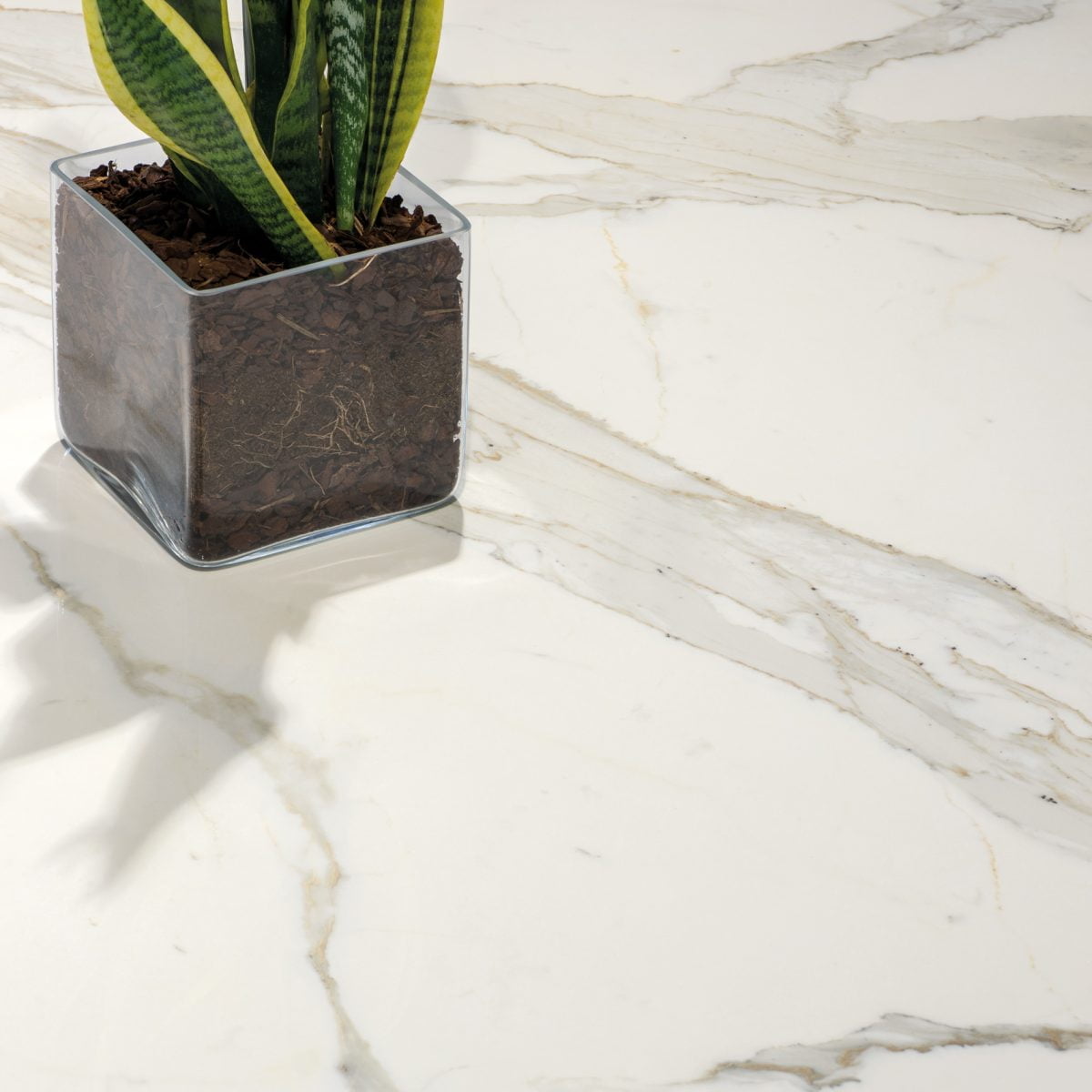 White 600 x 1200 mm Marble effect porcelain tile | Select Calacatta | Emporio Surfaces