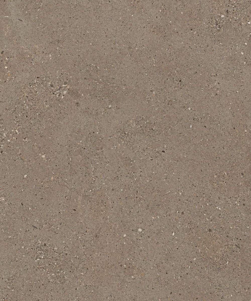 Brown 600 x 1200 mm Stone effect porcelain tile | Solida Nut | Emporio ...