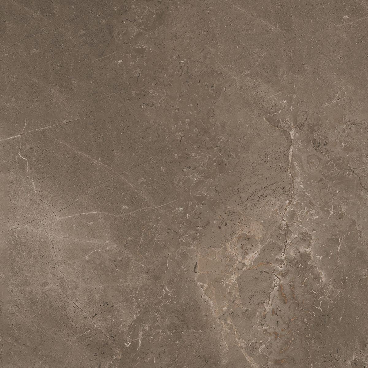 Porcelaingres Great Royal Stone Imperial Brown Stone effect porcelain ...