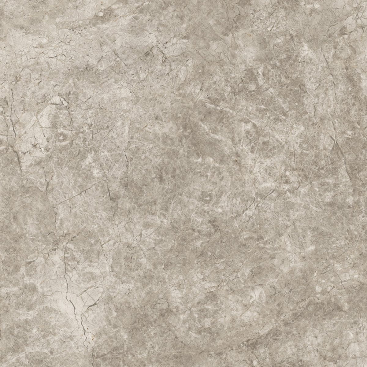 Fiandre Marmi Maximum Atlantic Grey Marble effect porcelain tiles Honed ...